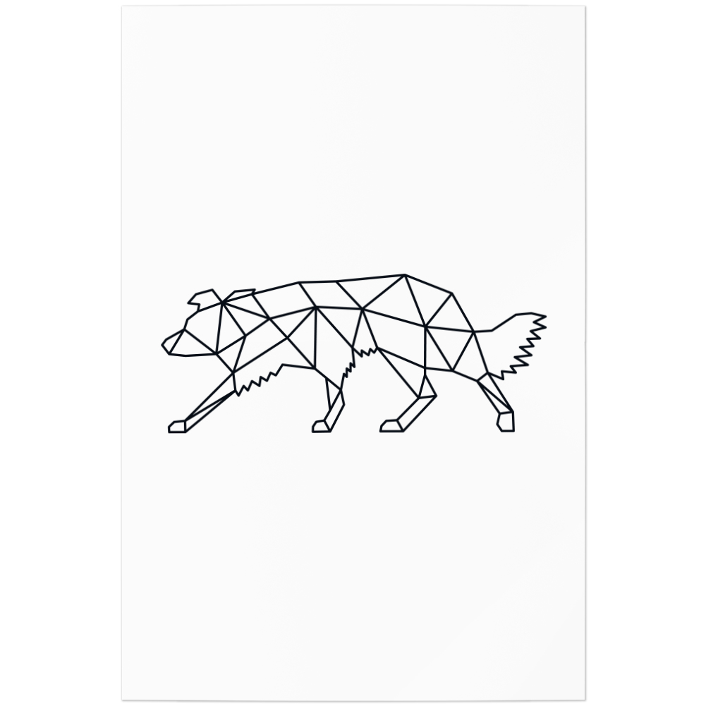 Border Collie, Origami-Stil 11001010067 | eBay.de